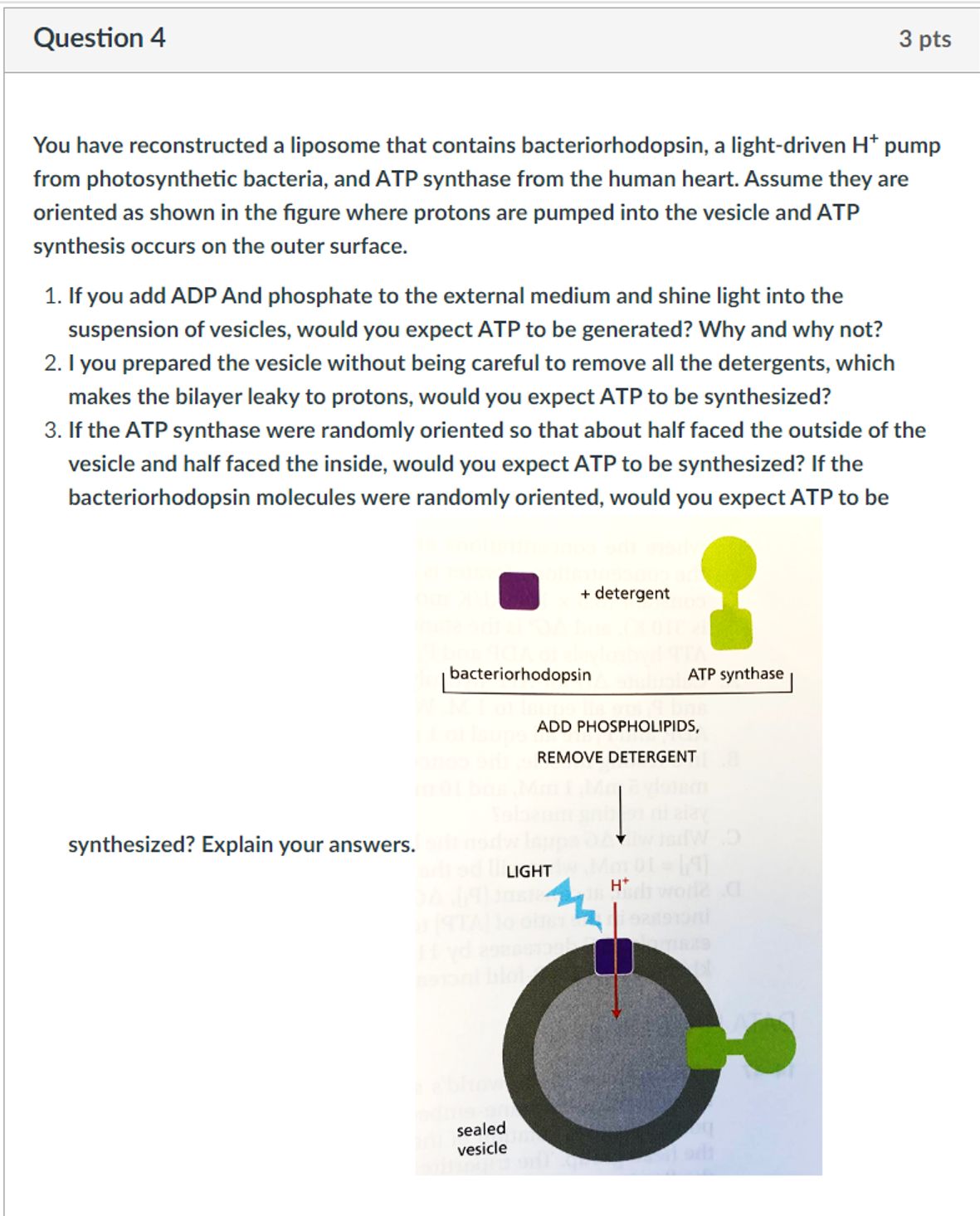 Solved Cell biology questions-Please answer question below, | Chegg.com