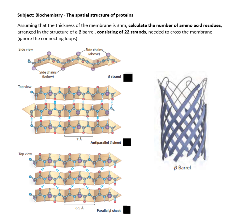 Solved Subject: Biochemistry - ﻿The spatial structure of | Chegg.com