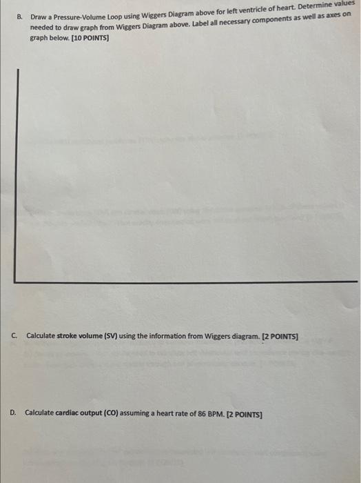 B. Draw a Pressure-Volume Loop using Wiggers Diagram | Chegg.com