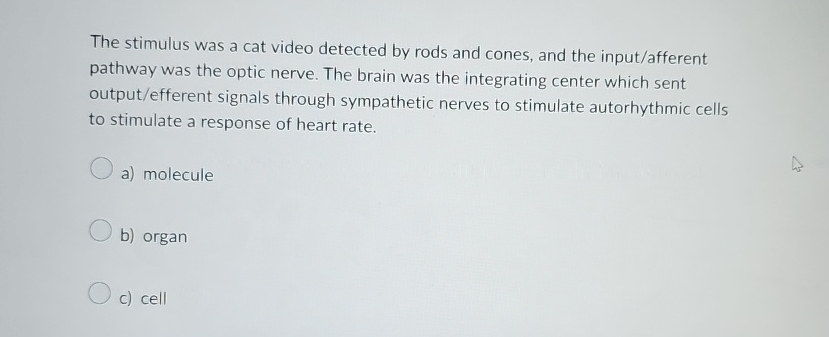 Solved The stimulus was a cat video detected by rods and | Chegg.com