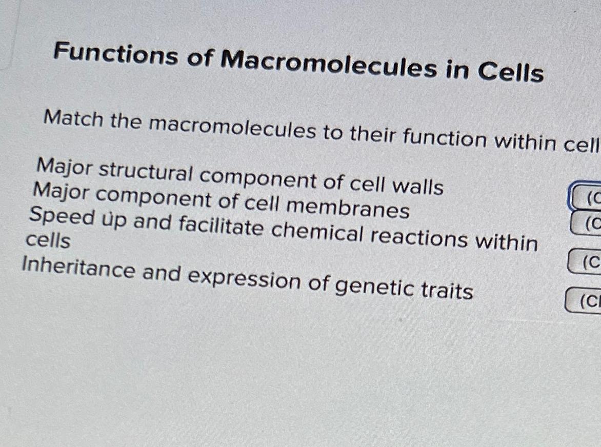 Solved Functions of Macromolecules in CellsMatch the | Chegg.com