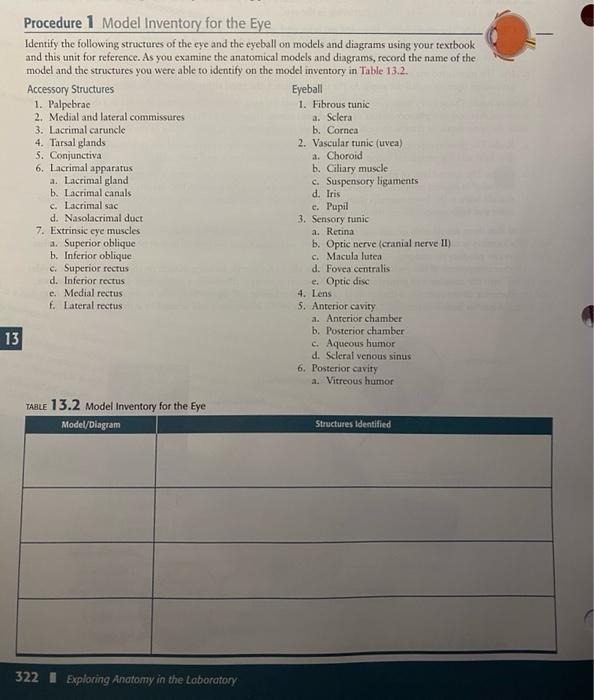 Procedure 1 Model Inventory for the Eye Identify the | Chegg.com
