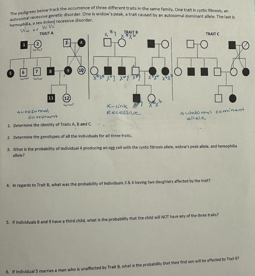 Solved The pedigrees below track the occurrence of three | Chegg.com