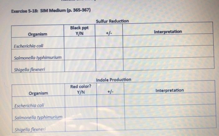 Solved catabolism. Bacteria that produce the enzyme urease | Chegg.com