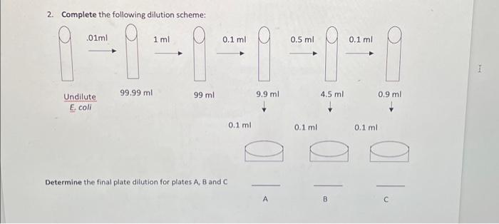 Solved 2. Complete the following dilution scheme: 1 ml 1- | Chegg.com