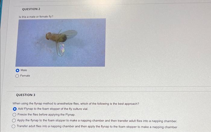 [Solved]: a fly vial is labeled ... please help 1-10 Which o