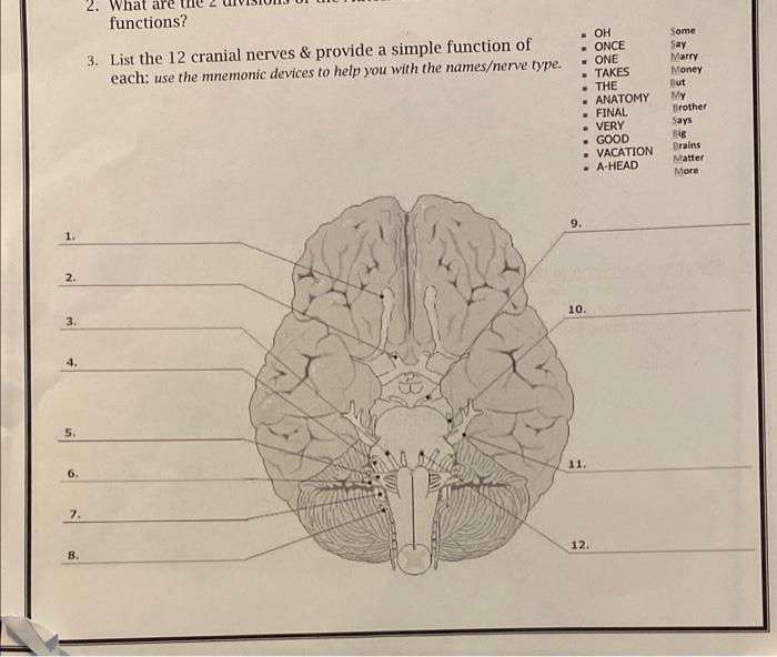 Solved 3. List the 12 cranial nerves \& provide a simple | Chegg.com