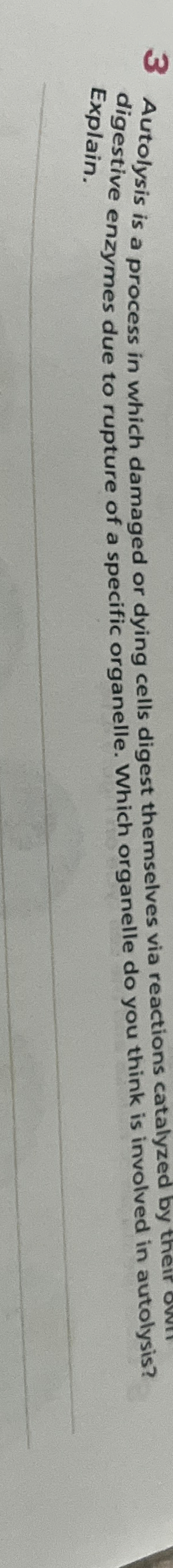 Solved 3 ﻿Autolysis is a process in which damaged or dying | Chegg.com