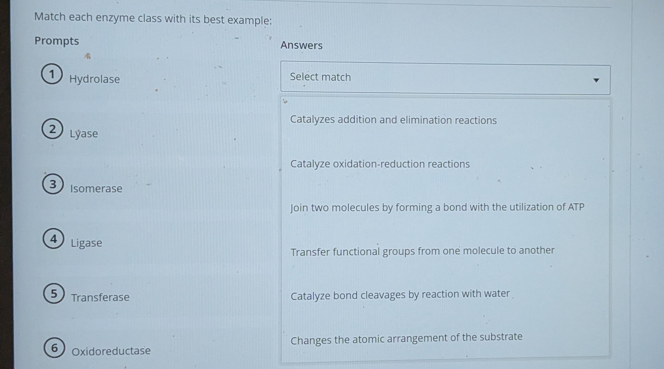 Solved Match each enzyme class with its best | Chegg.com
