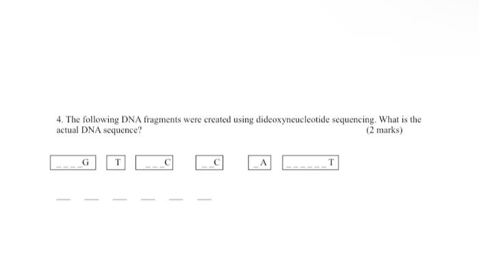 Solved 5. Genetic engineering using recombinant DNA offers | Chegg.com