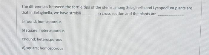 Solved The Rhyniophytes and their relatives were at their | Chegg.com