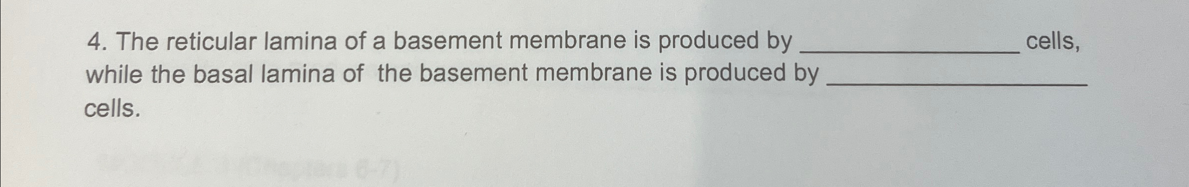 Solved The reticular lamina of a basement membrane is | Chegg.com