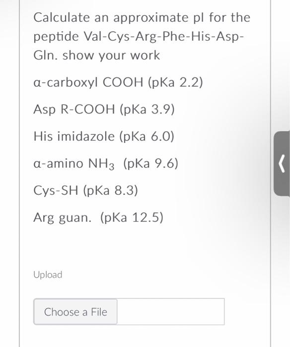 Solved Calculate an approximate pl for the peptide | Chegg.com