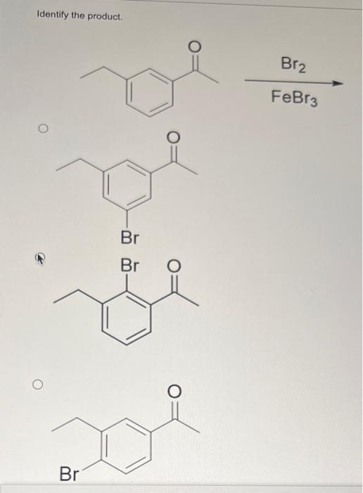 Solved Identify the product. FeBr3 Br2 a | Chegg.com