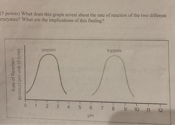 Solved 5 points) What does this graph reveal about the rate | Chegg.com
