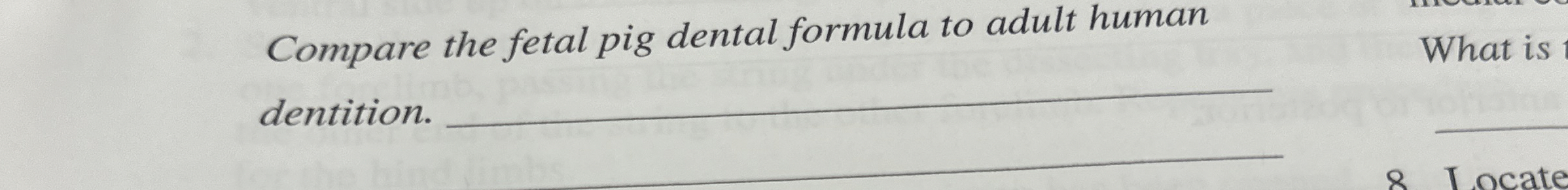 Solved Compare the fetal pig dental formula to adult human | Chegg.com