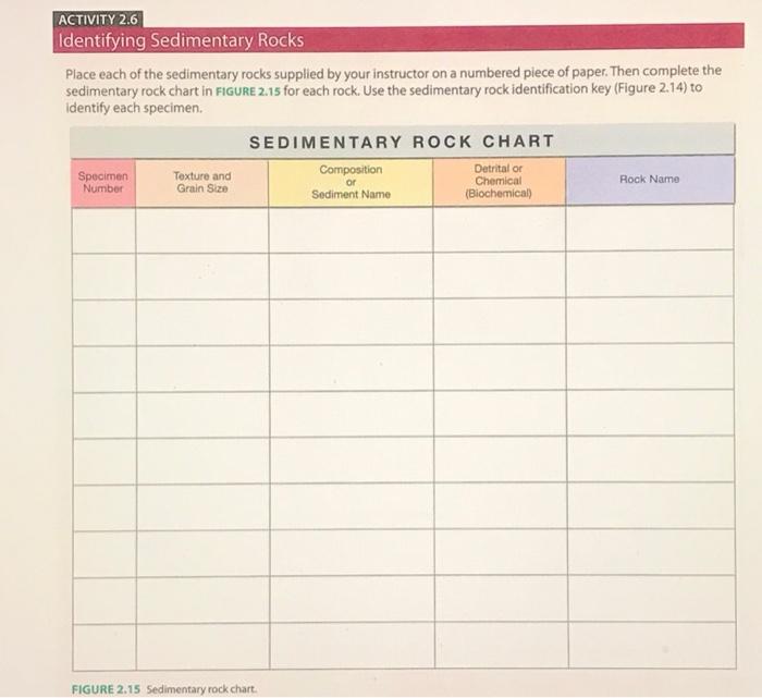 Solved Place each of the sedimentary rocks supplied by your | Chegg.com