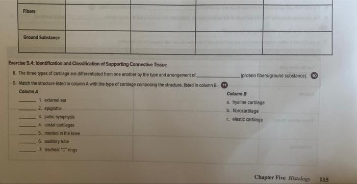 Solved 3. Match the function listed in column A with the | Chegg.com
