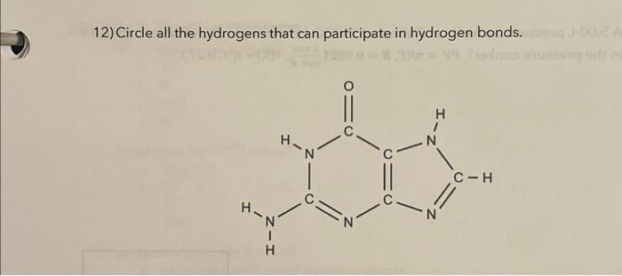 Solved 12) Circle all the hydrogens that can participate in | Chegg.com