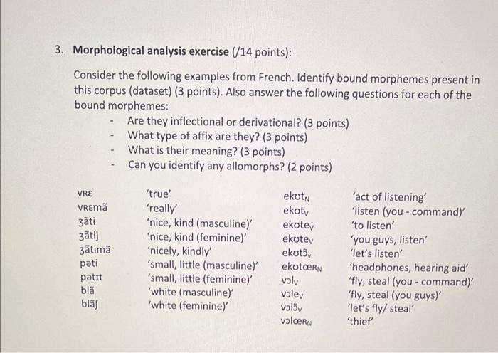 3. Morphological analysis exercise (/14 points): | Chegg.com