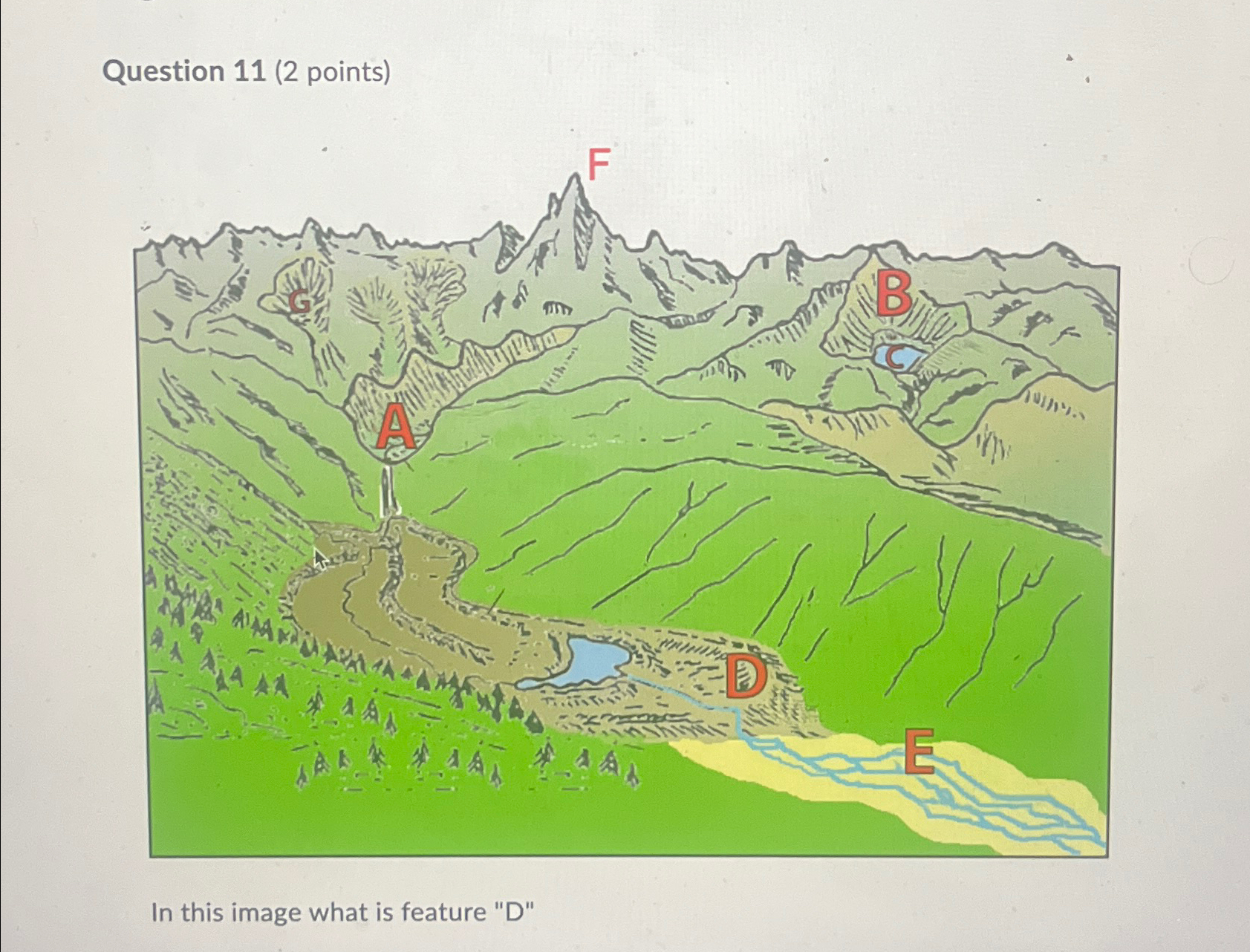 Solved Question 11 (2 points)In this image what is feature | Chegg.com Solved Question 11 (2 points)In this image what is feature | Chegg.com