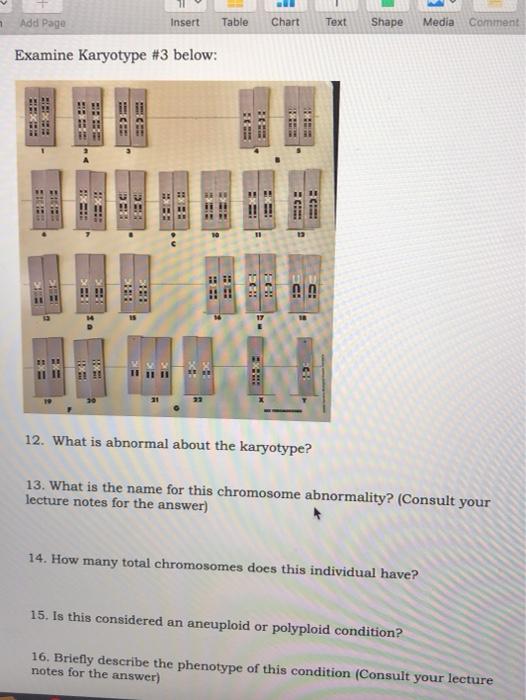 Solved Add Page Insert Table Chart Text Shape Media Comment | Chegg.com