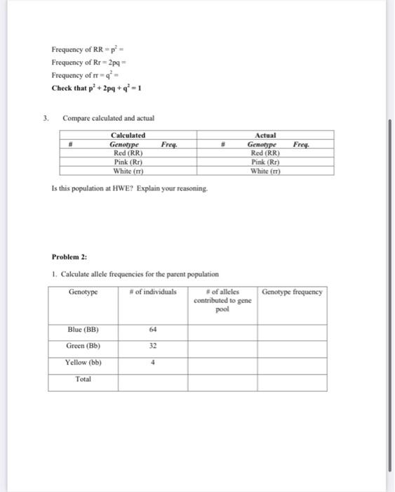 Solved HWE WORKSHEET Problem 1: 1. Calculate allele | Chegg.com
