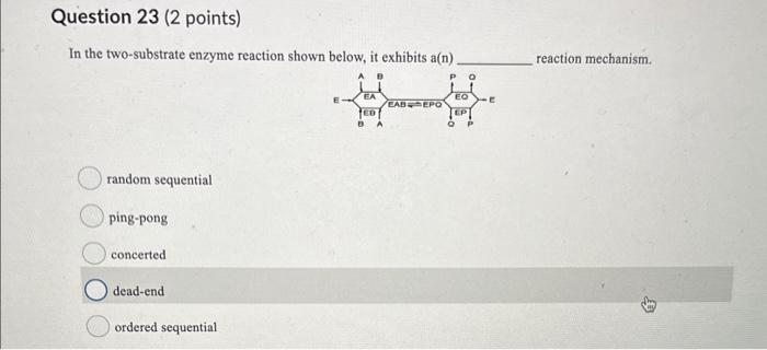 Solved In the two-substrate enzyme reaction shown below, it | Chegg.com