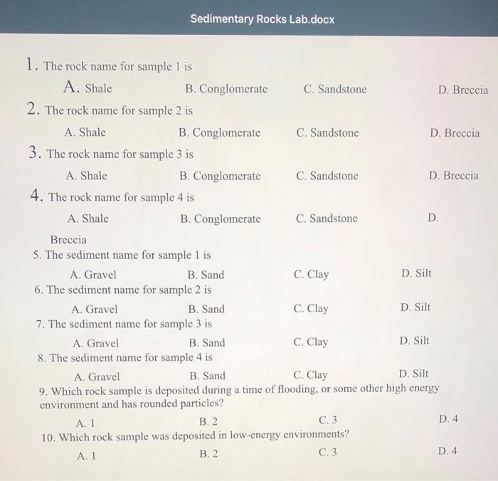 Solved Sedimentary Rocks Lab.docx Sample 1 Sample 2 Sample 3 | Chegg.com