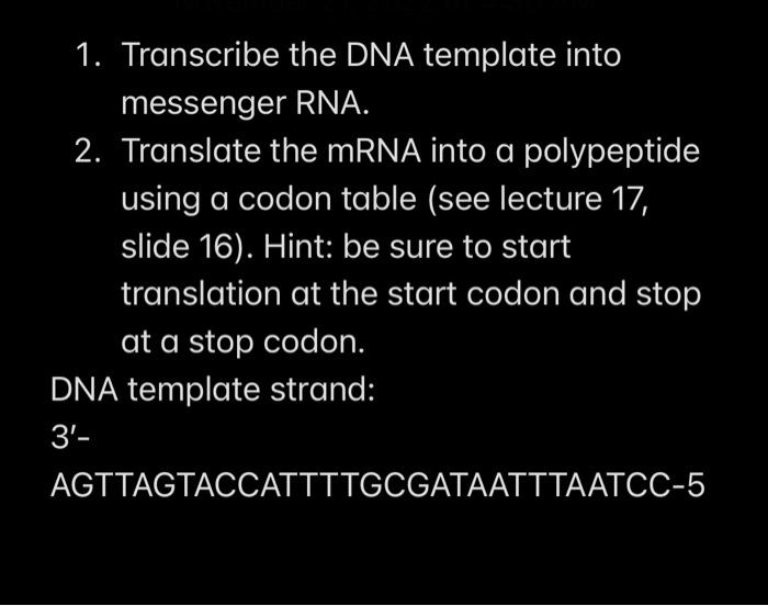 Solved 1. Transcribe the DNA template into messenger RNA. 2. | Chegg.com
