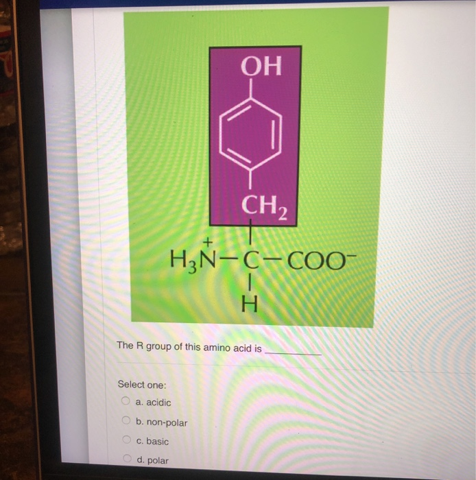Solved OH CH + H3N-C-COO- U-I The R group of this amino acid | Chegg.com
