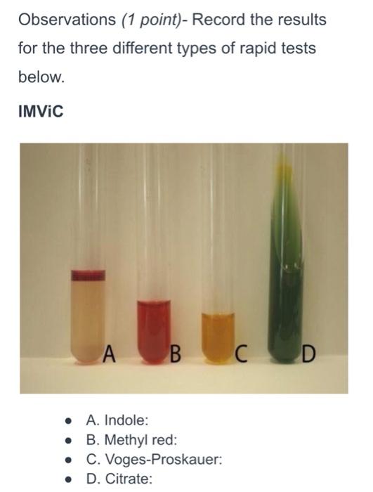 Solved Observations (1 point) - Record the results for the | Chegg.com