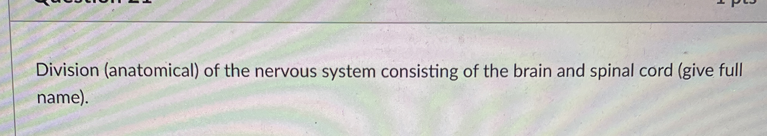 Solved Division (anatomical) ﻿of the nervous system | Chegg.com