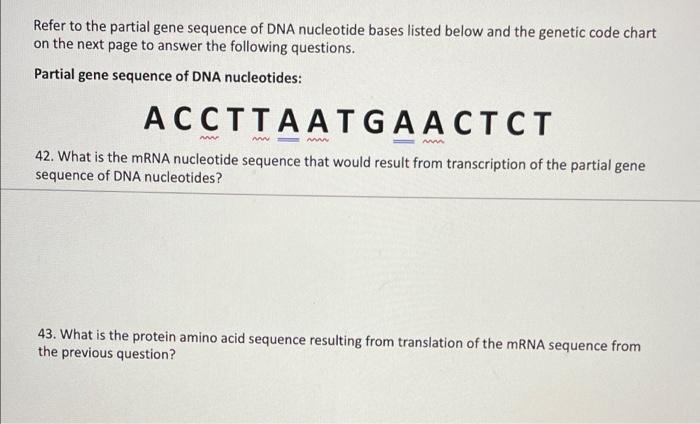 Solved Refer to the partial gene sequence of DNA nucleotide | Chegg.com