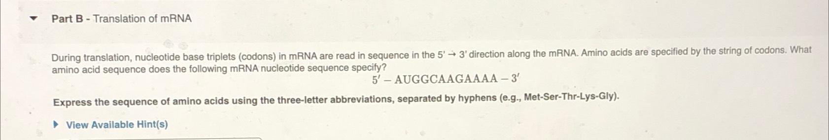 Solved Part B - ﻿Translation of mRNADuring translation, | Chegg.com