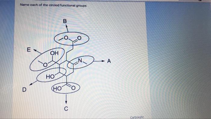 Solved Name each of the circled functional groups B O E OH N | Chegg.com