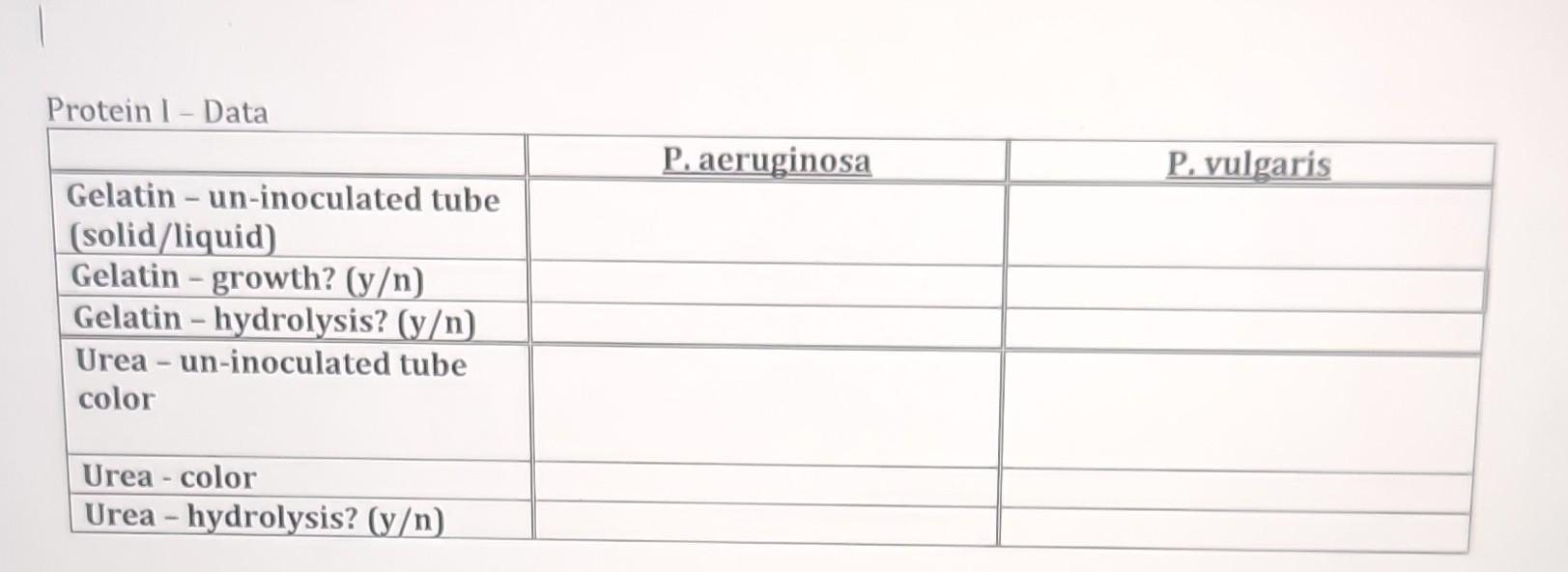 Solved Protein I - Data UREA AGAR P. vulgaris P. | Chegg.com