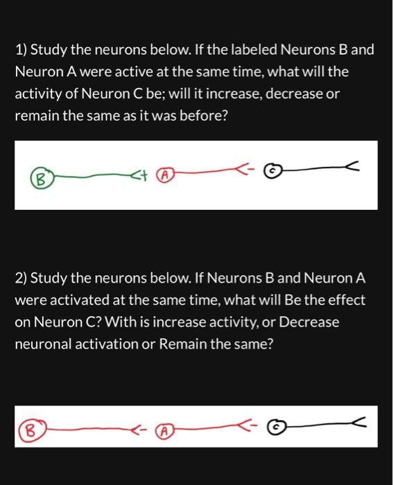 Solved 1) Study the neurons below. If the labeled Neurons B | Chegg.com
