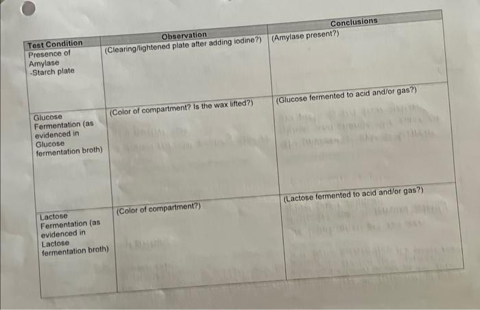 Solved Can someone help me fill in these charts? Please | Chegg.com