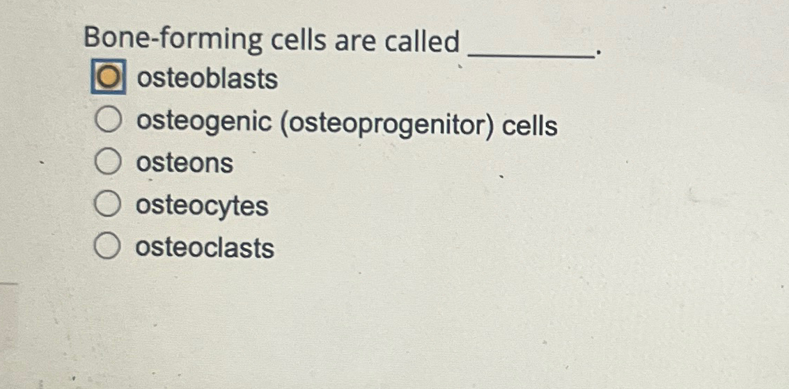 Solved Bone-forming cells are called osteoblasts osteogenic | Chegg.com
