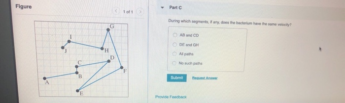 Solved Problem 1.61 The bacterium Escherichia coli (or E. | Chegg.com
