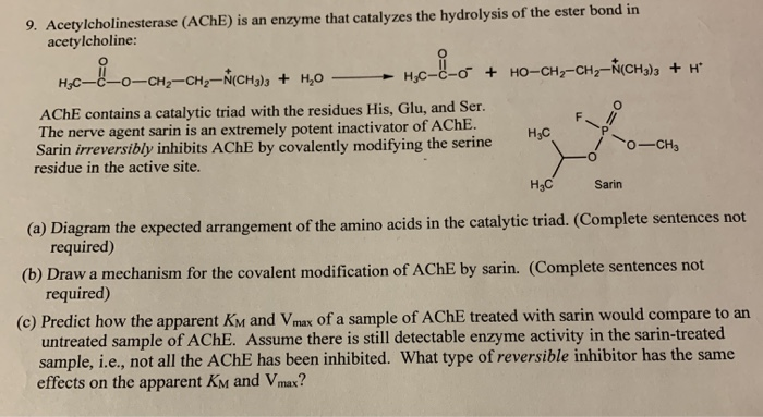 Solved 9. Acetylcholinesterase (AChE) is an enzyme that | Chegg.com