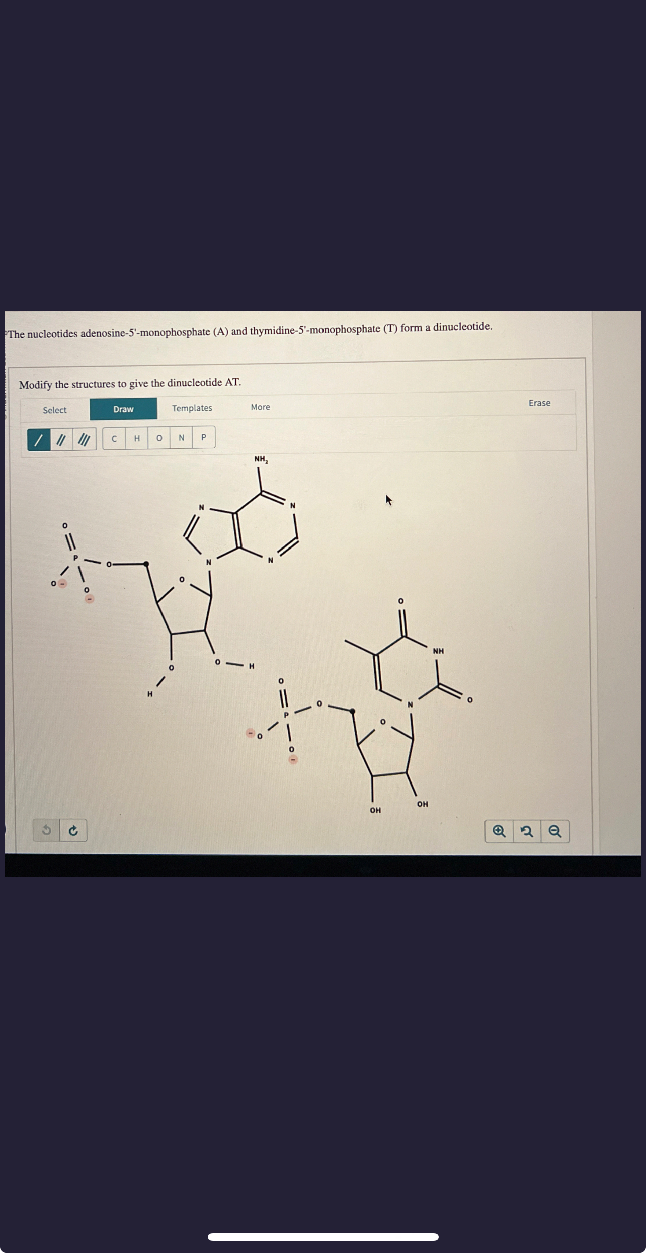 Solved The nucleotides adenosine-5'-monophosphate (A) ﻿and | Chegg.com
