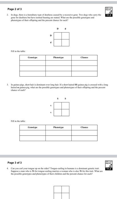 Solved A punnett square helps scientists predict the | Chegg.com