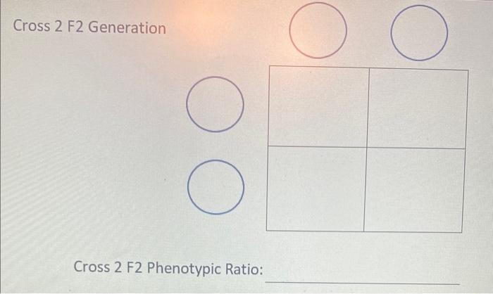 Autosomal Recessive (m+>m)Cross 1 F2 Generation Cross | Chegg.com