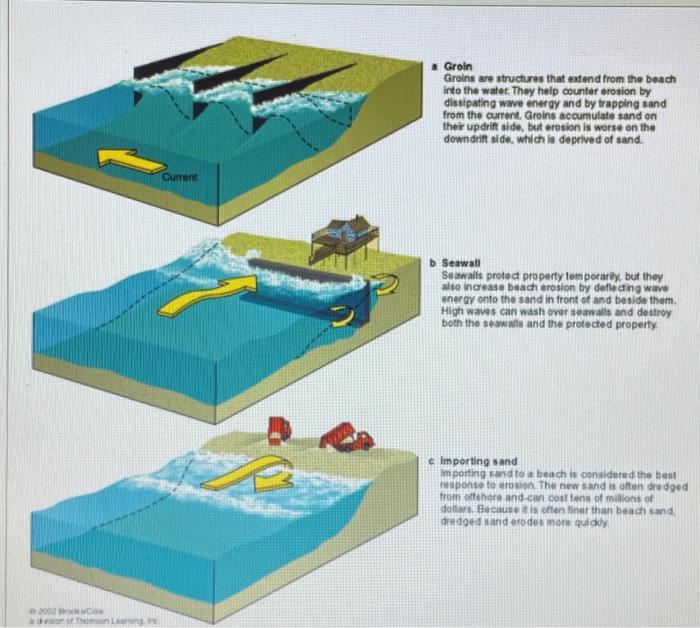 Solved Groin Groins are structures that extend from the | Chegg.com