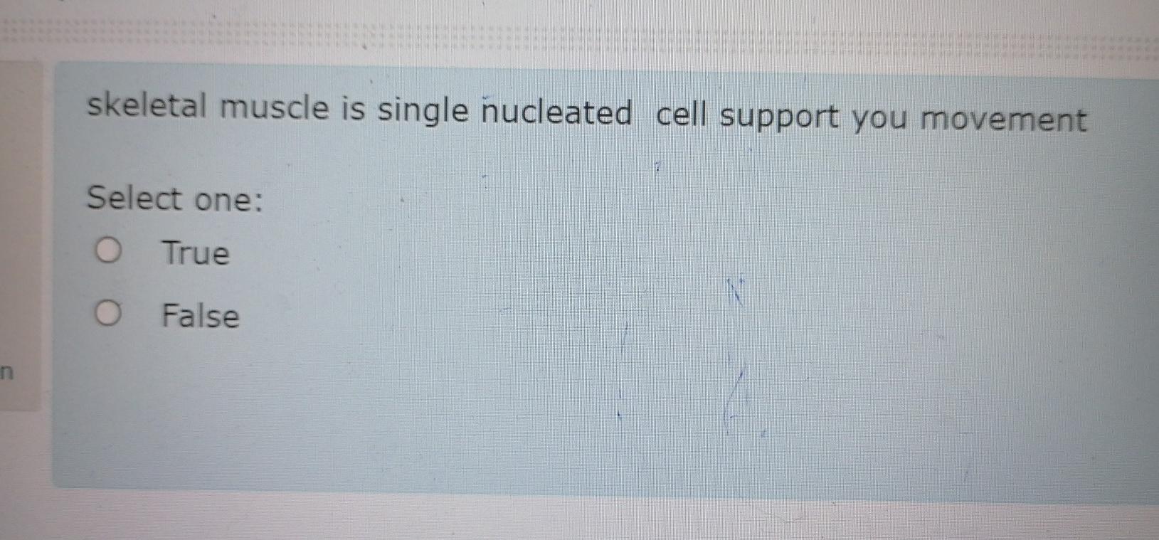 Solved skeletal muscle is single nucleated cell support you | Chegg.com
