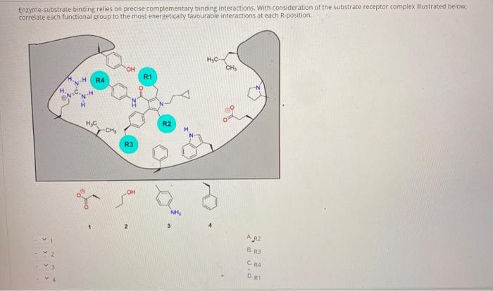 Solved Enzyme-substrate binding relies on precise | Chegg.com