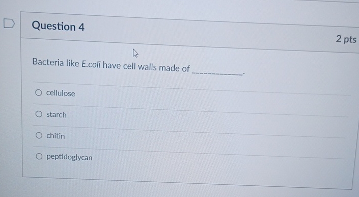Solved Question 42 ﻿ptsBacteria like E.coli have cell walls | Chegg.com