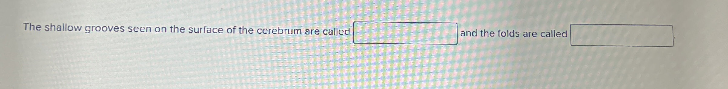 Solved The shallow grooves seen on the surface of the | Chegg.com